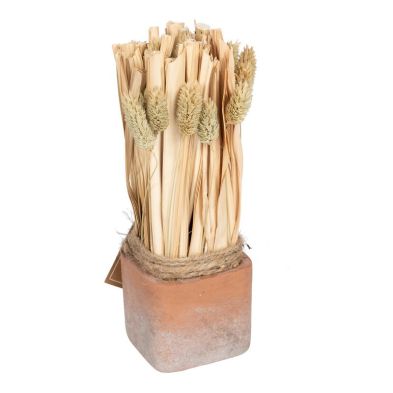 Fox Tail Dried Grass Bouquet in Terracotta Pot - Large → Se online her!