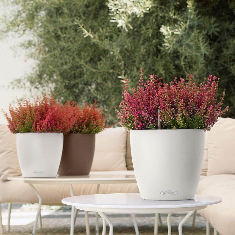 Lechuza - Classico Color Hvid Ø21 x H20 cm → Se online her!