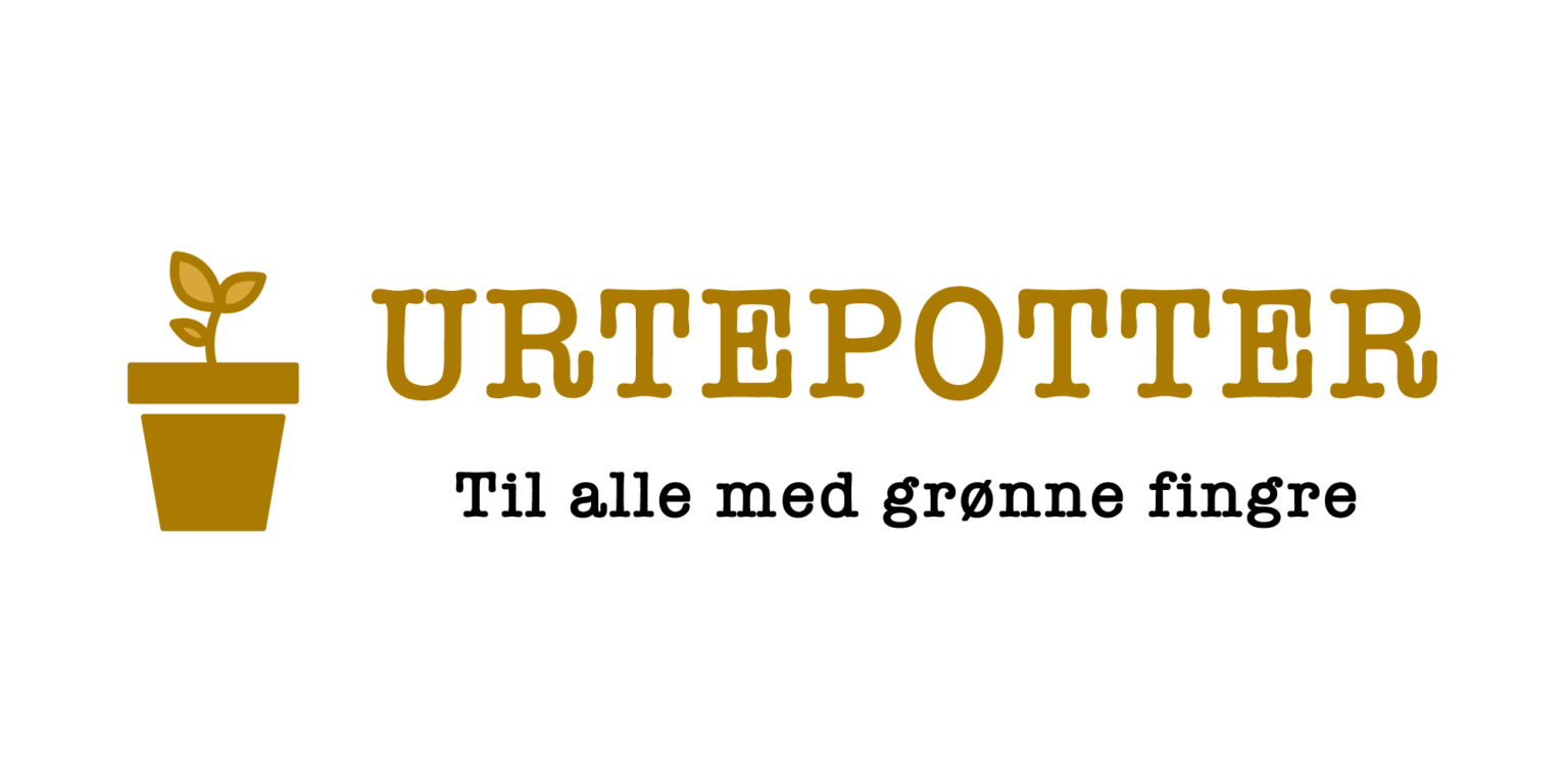 Bloom Objects → Se online her!